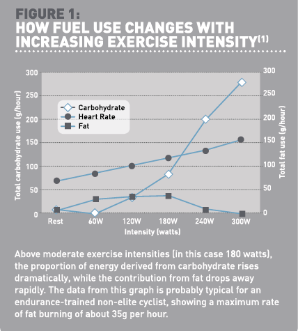 A new Look at Fat burning