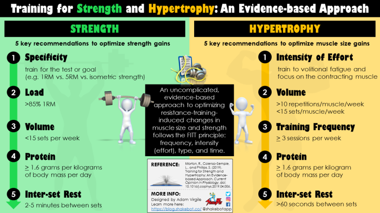 The Science of Gaining Muscular Strength and Size.