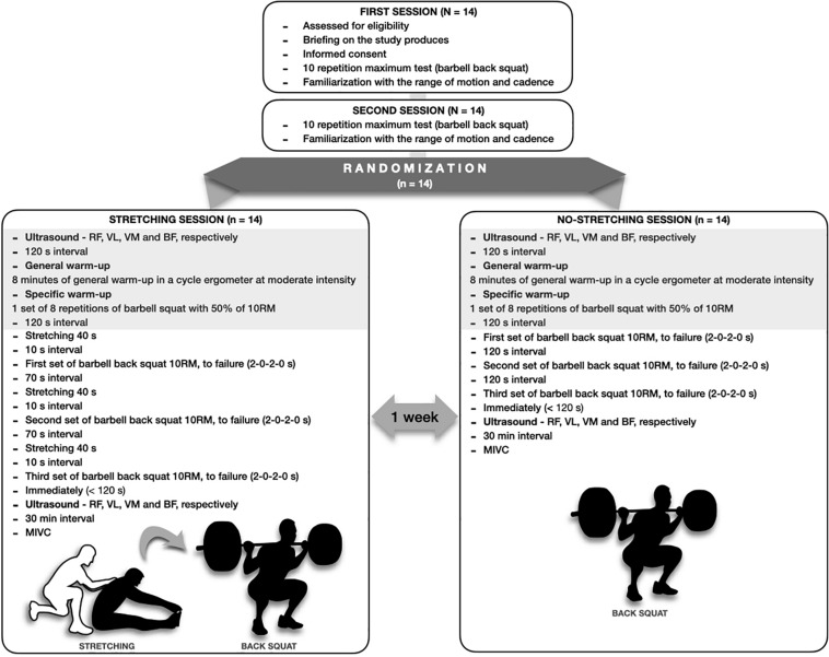 Building hamstrings with squats: here's how.