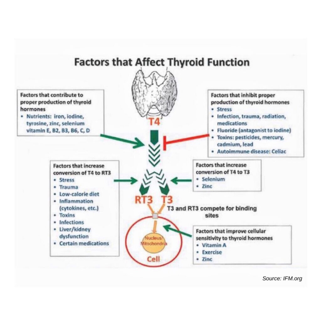 How Nutrition affects thyroid function.